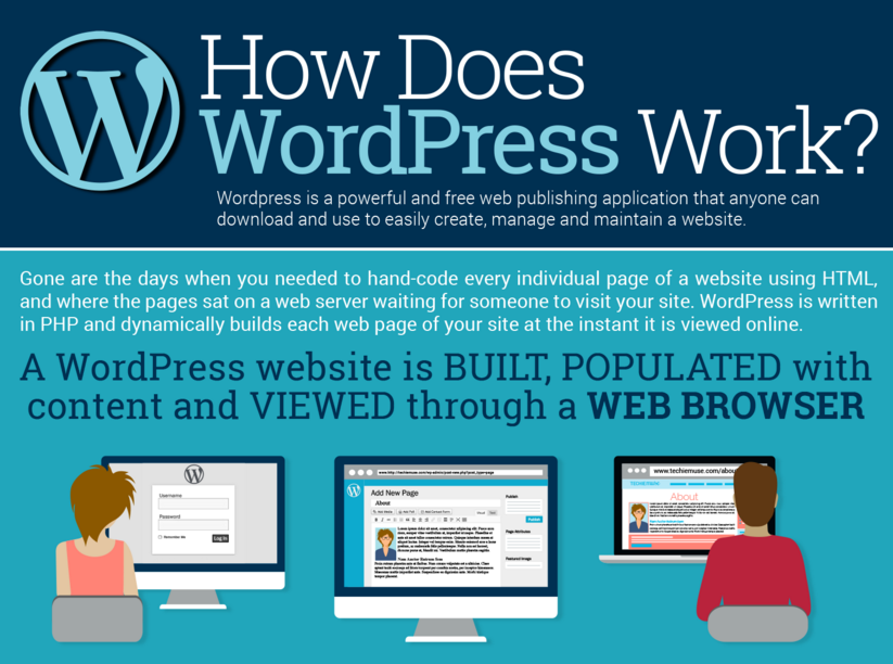  Infographic How Does WordPress Work 